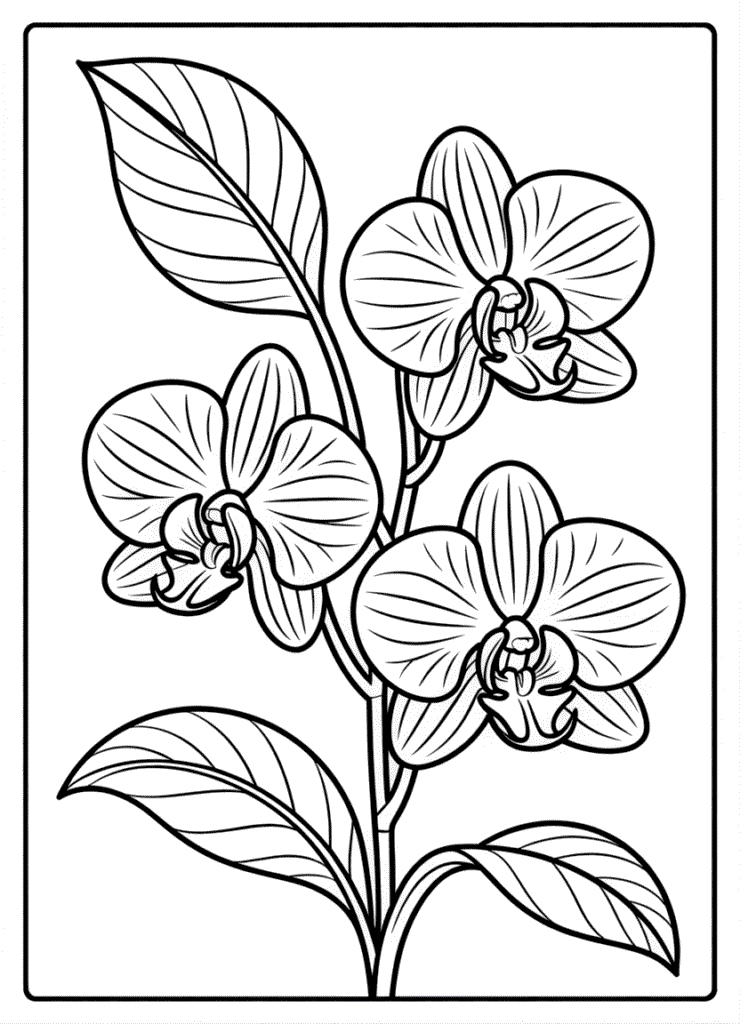 48 Flower Coloring Pages - Free Printable PDF Collection