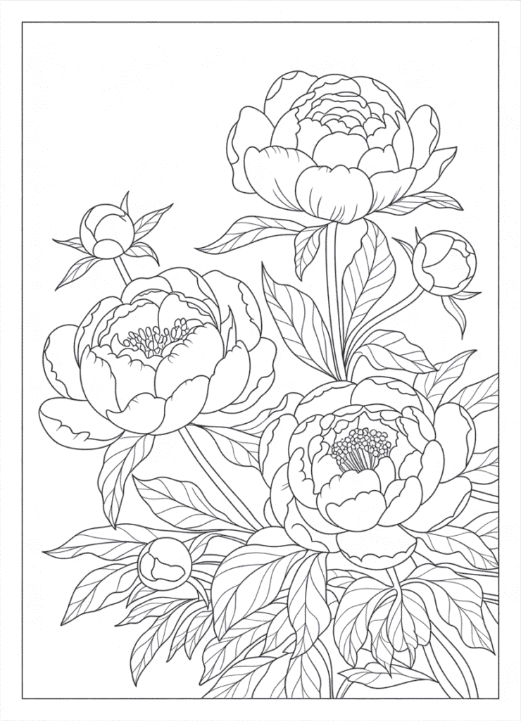 48 Flower Coloring Pages - Free Printable PDF Collection